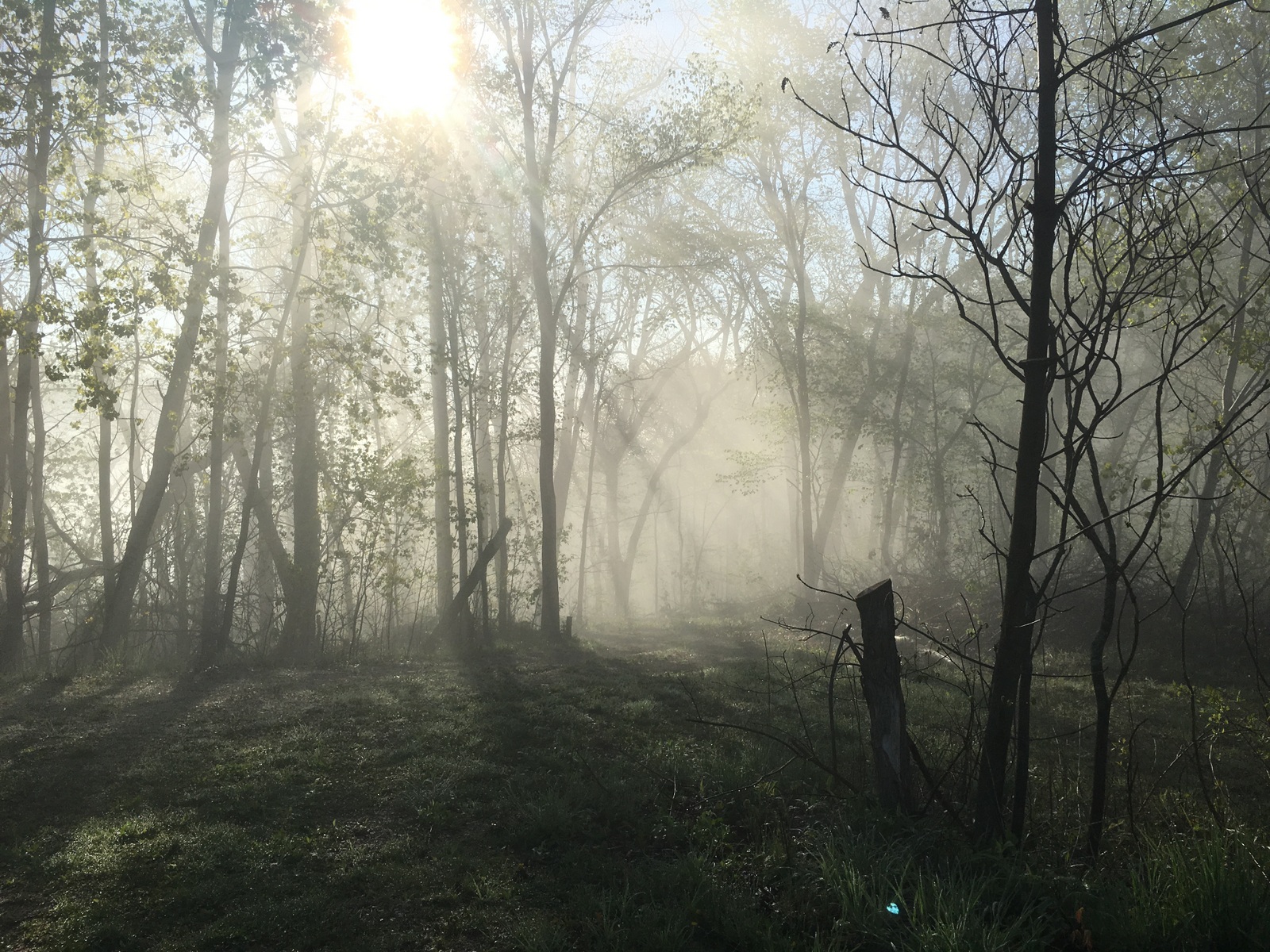 Where is De Soto, Wisconsin? – Good Times on the Big River